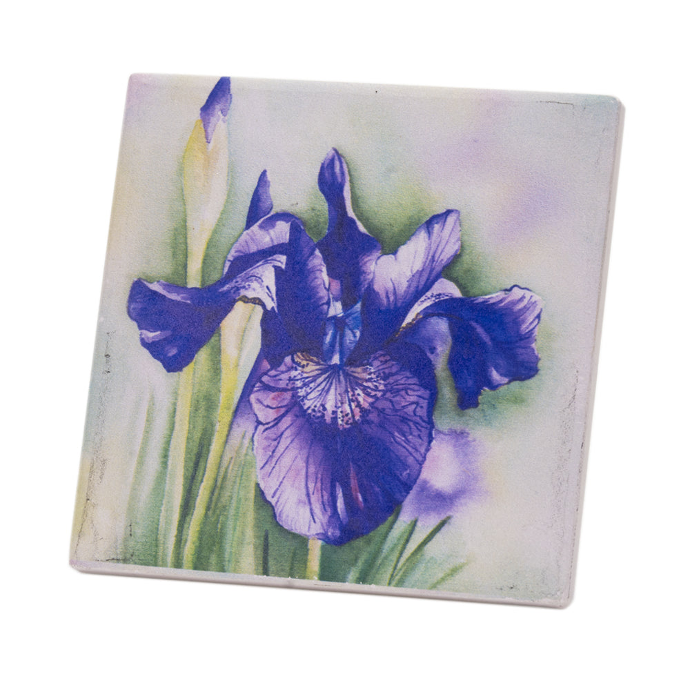 COASTER ABSORB IRIS WATERCOLOUR – The Butchart Gardens Seed & Gift Store