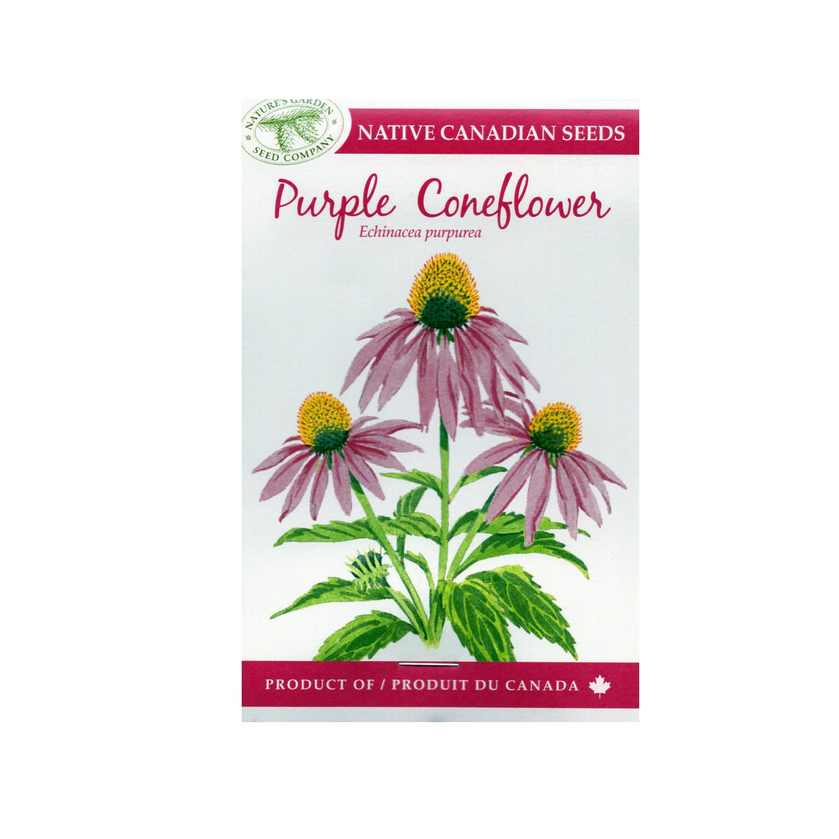 SEEDS PURPLE CONEFLOWER – The Butchart Gardens Seed & Gift Store